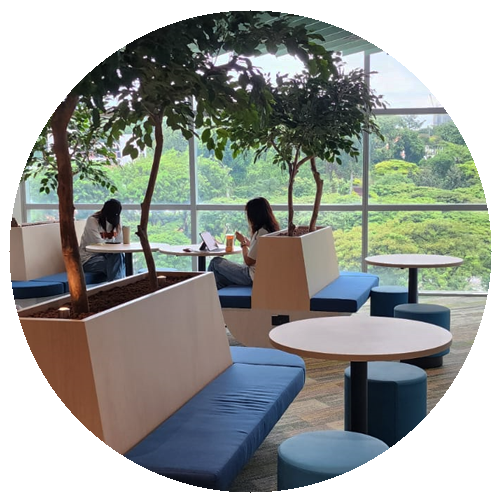 Join Us at CU Application Day 2025!